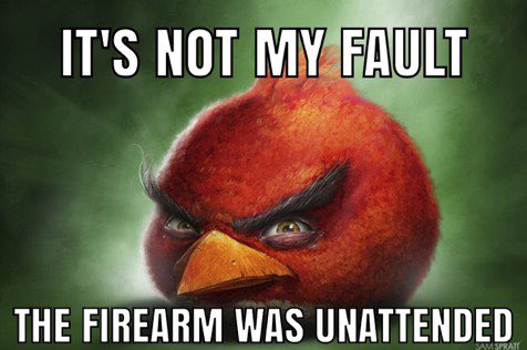 Angry Bird Memes