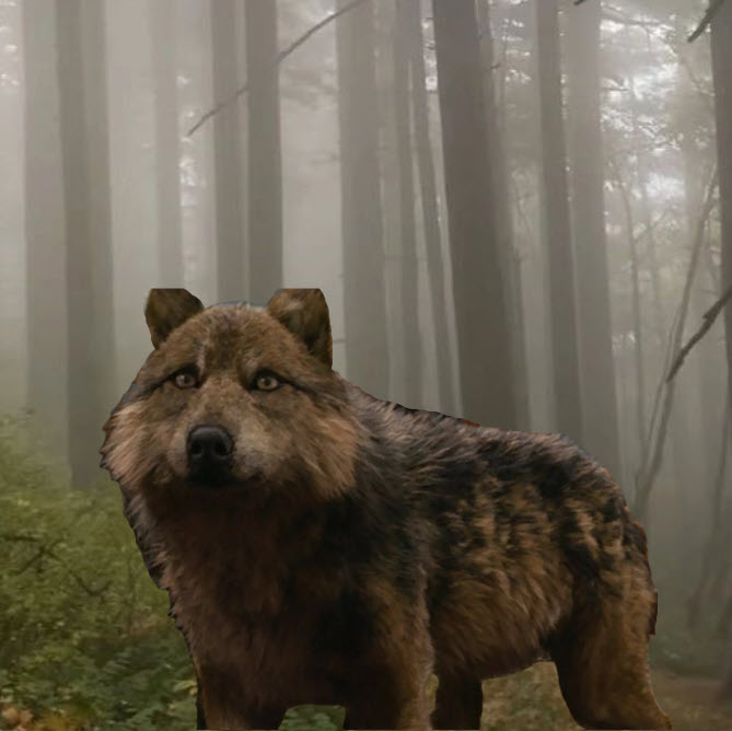 Werewolf Twilight Seth