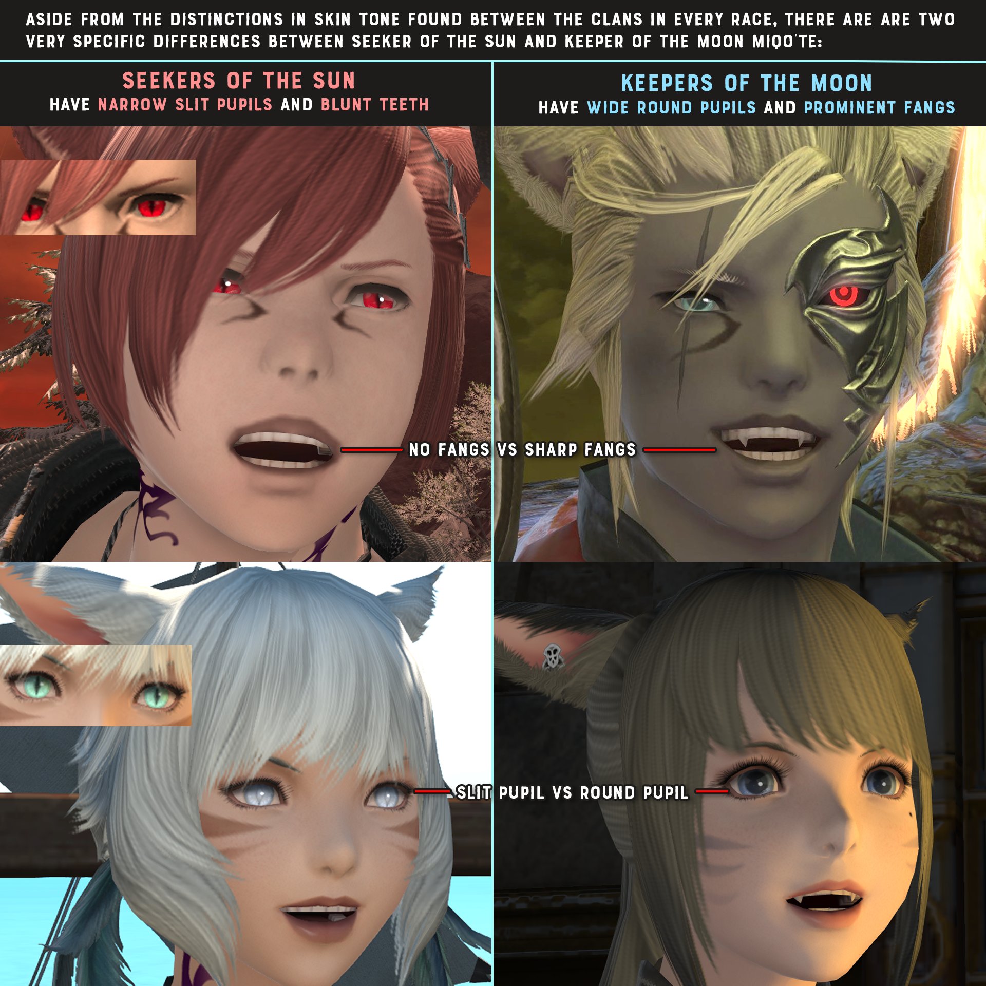Crystals Can Hold Fast To Dreams On Twitter some Fc Friends Asked Why crystals-can-hold-fast-to-dreams-on-twitter-some-fc-friends-asked-why