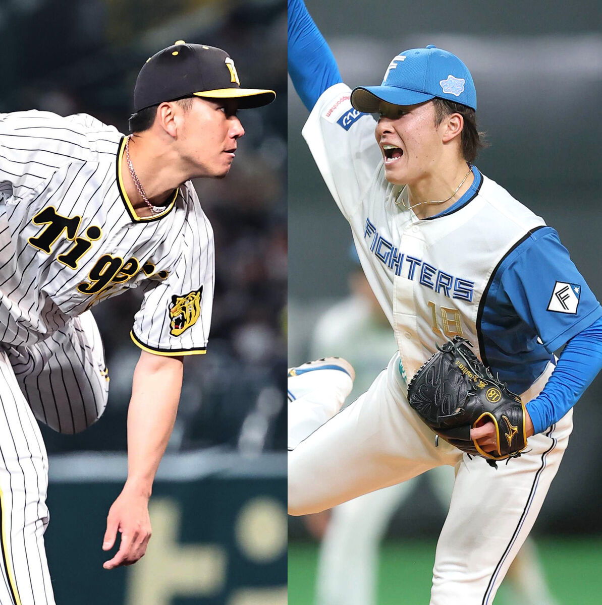 スポーツ報知 on Twitter: "阪神・伊藤将司-日本ハム・吉田輝星…スタメン発表 https://t.co/xtuwghcBCo #野球 #baseball https://t.co ...