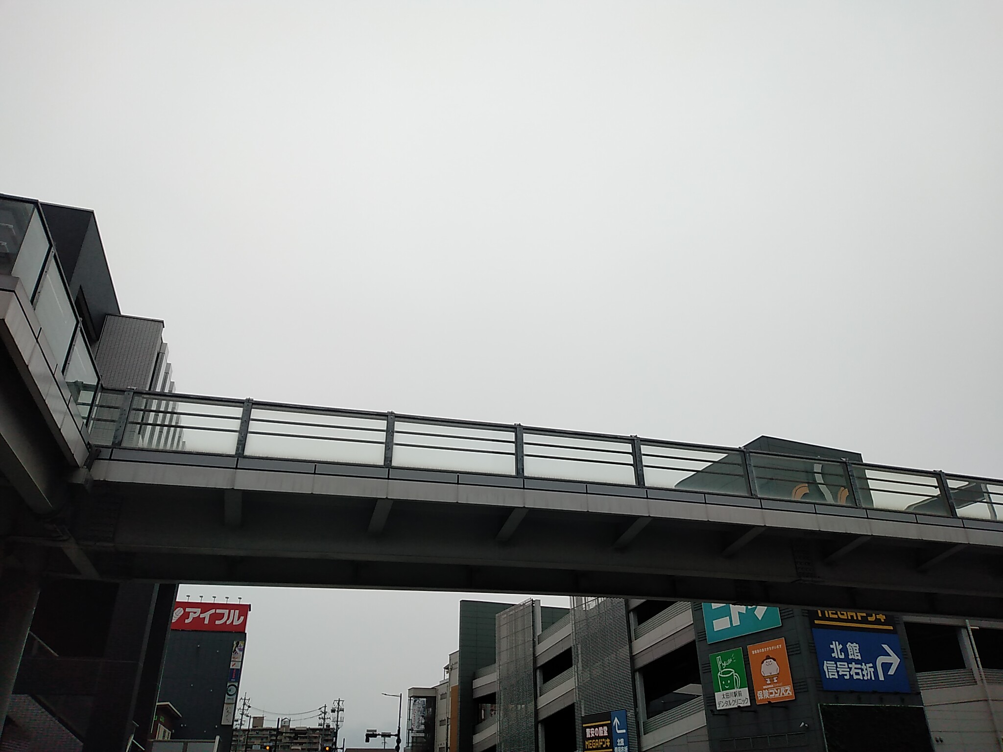 Ruby & Emmeline on Twitter: "うろうろしている。 https://t.co/4wCfcvmClj" / Twitter