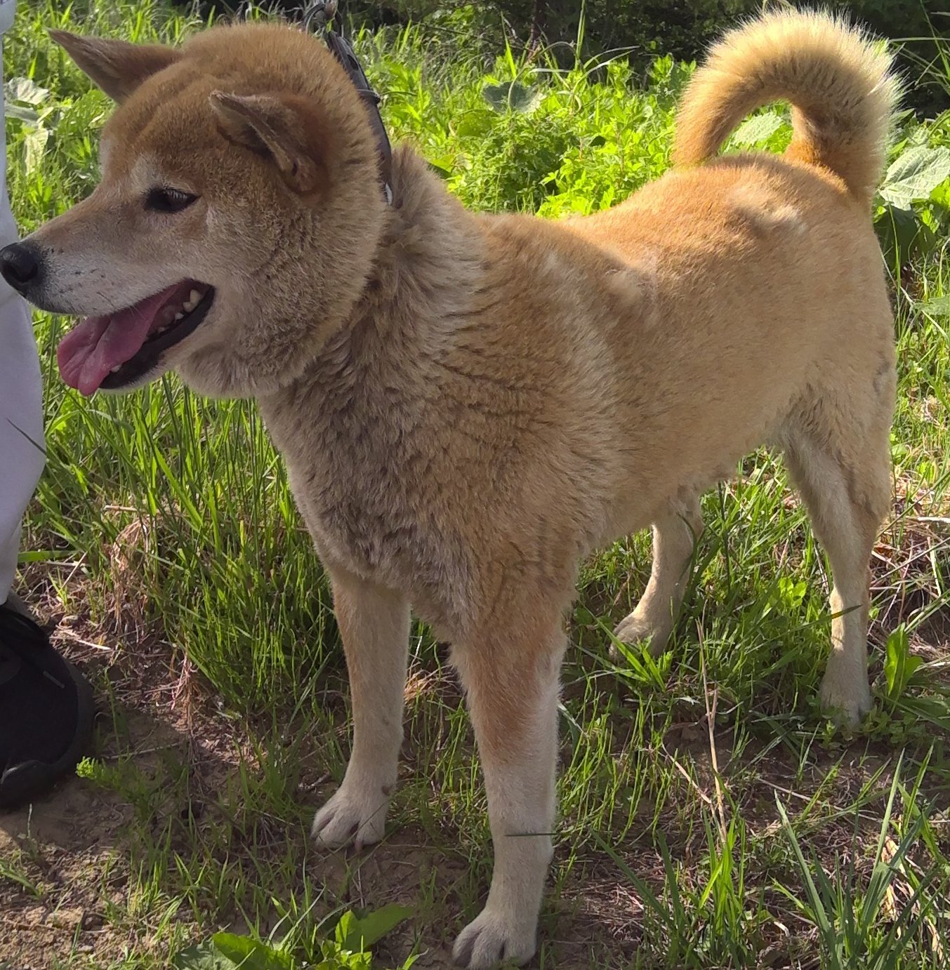 BUNTA (@BUNTA10sai) / Twitter