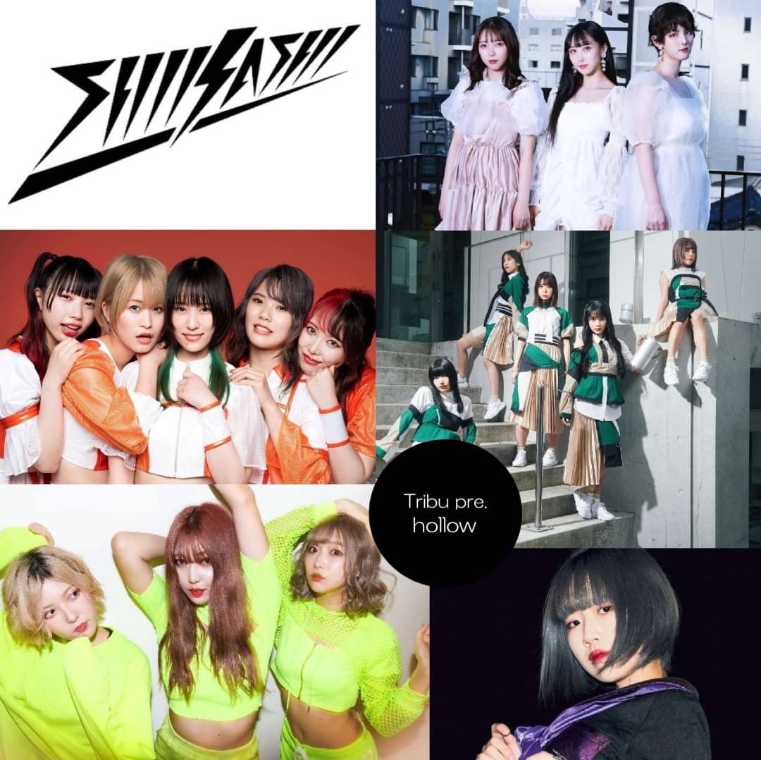 SHIKASHI[公式] on Twitter: "♦︎NEWライブ情報♦︎ 🗓 7/2（土） Tribu pre. hollow 《会場》⚡️ 西永福JAM 《時間》⚡️ 18:00/18: ...