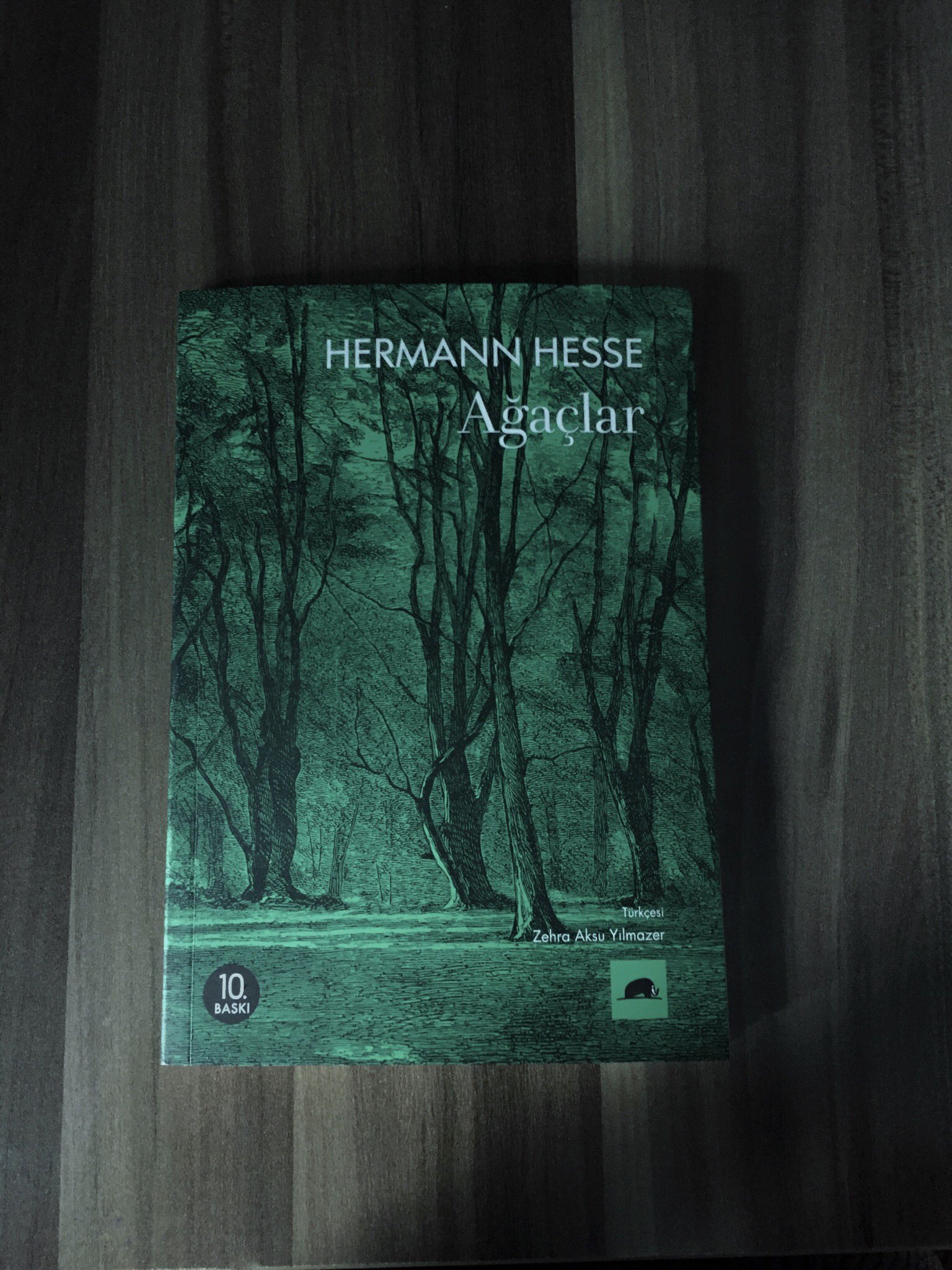 solringen on Twitter: "bayıldım https://t.co/a2woTh15VT" / Twitter
