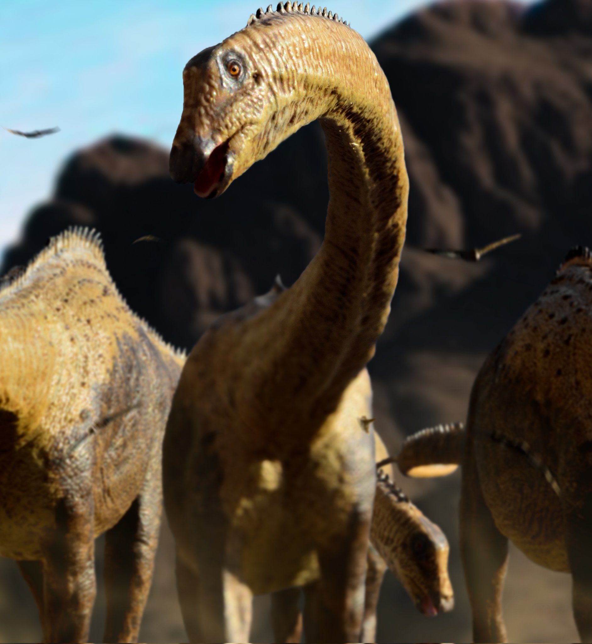 Brachiosaurus Vs Brontosaurus Vs Diplodocus