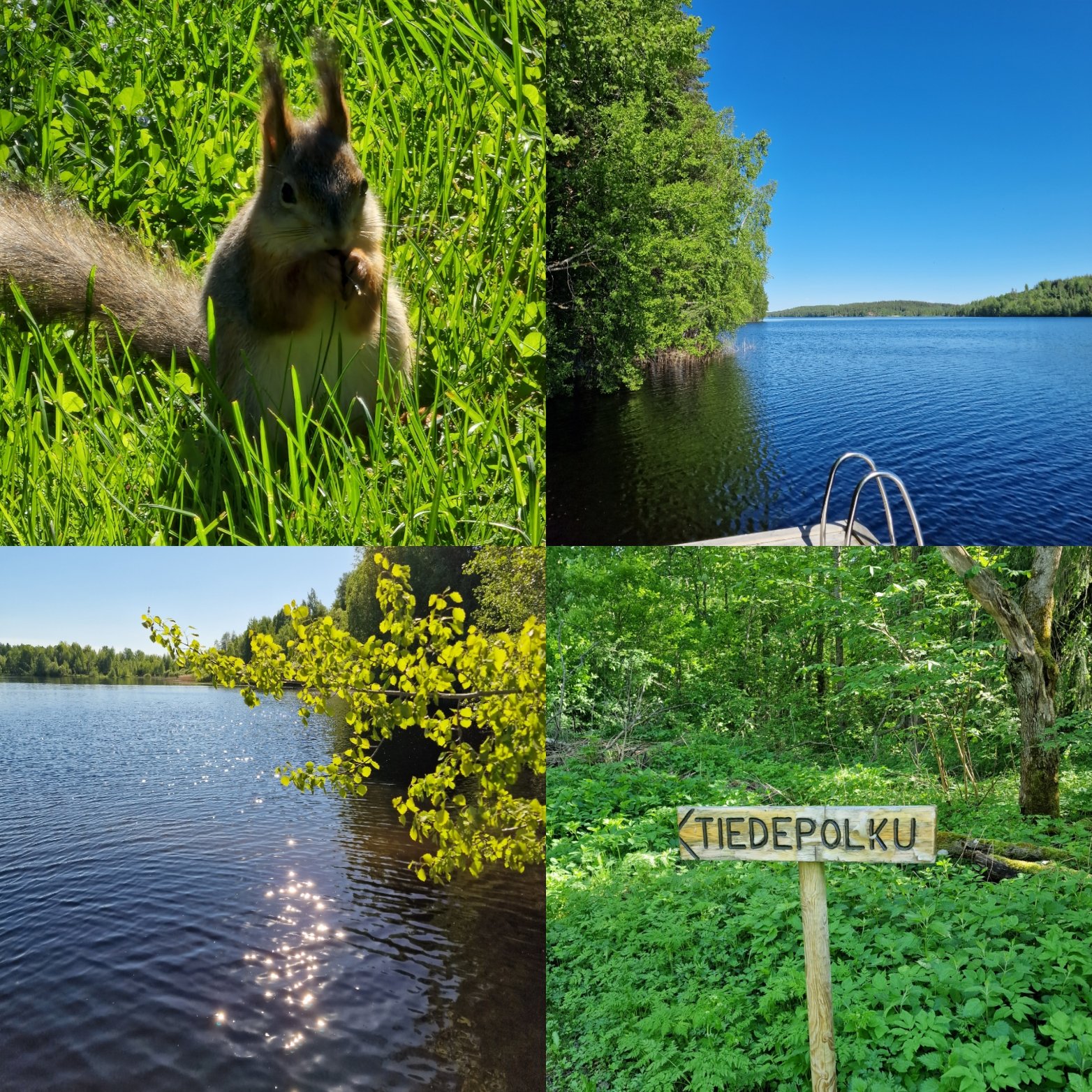 Kirsi Vikman (@KirsiVikman) / Twitter