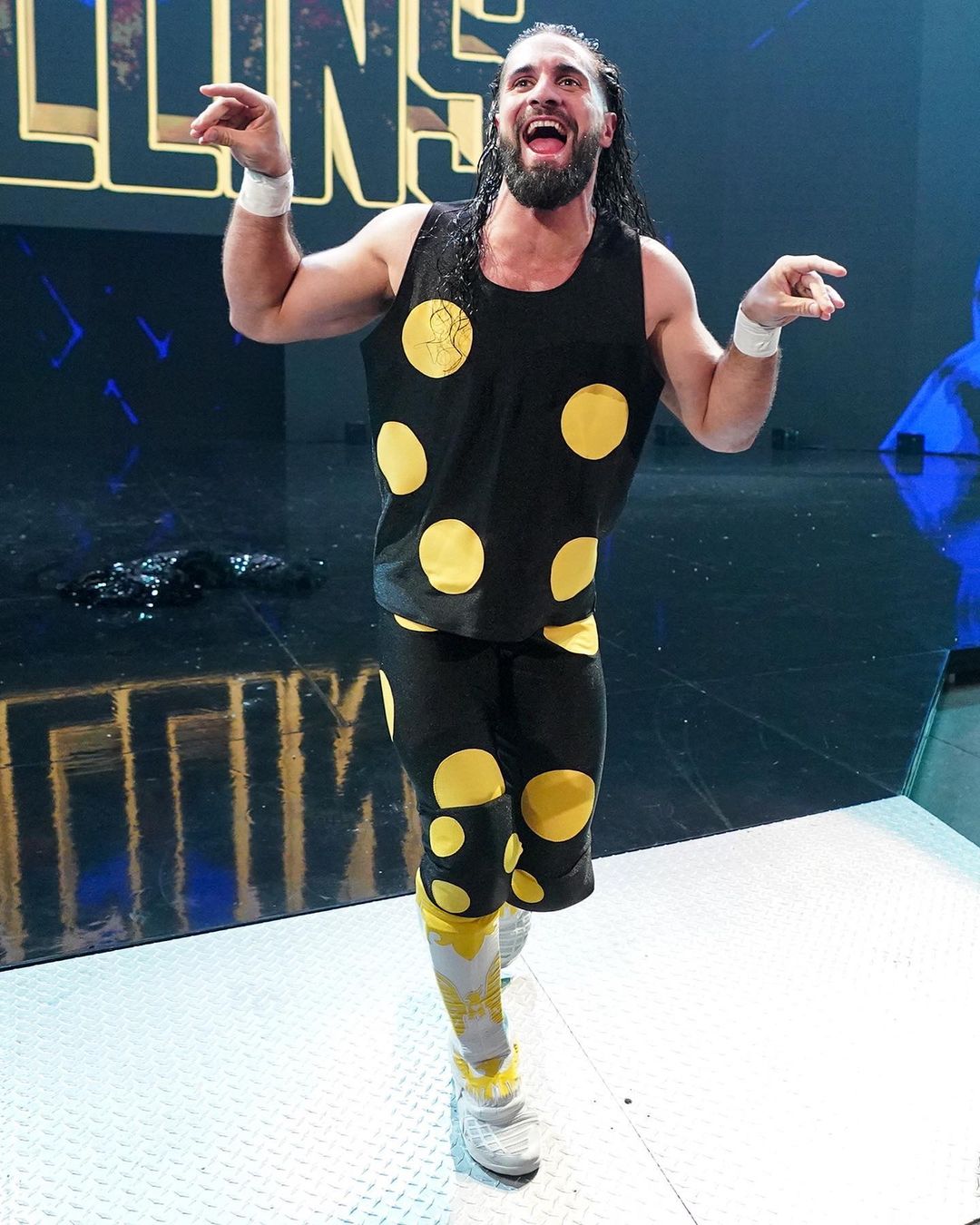 Seth Rollins Meme