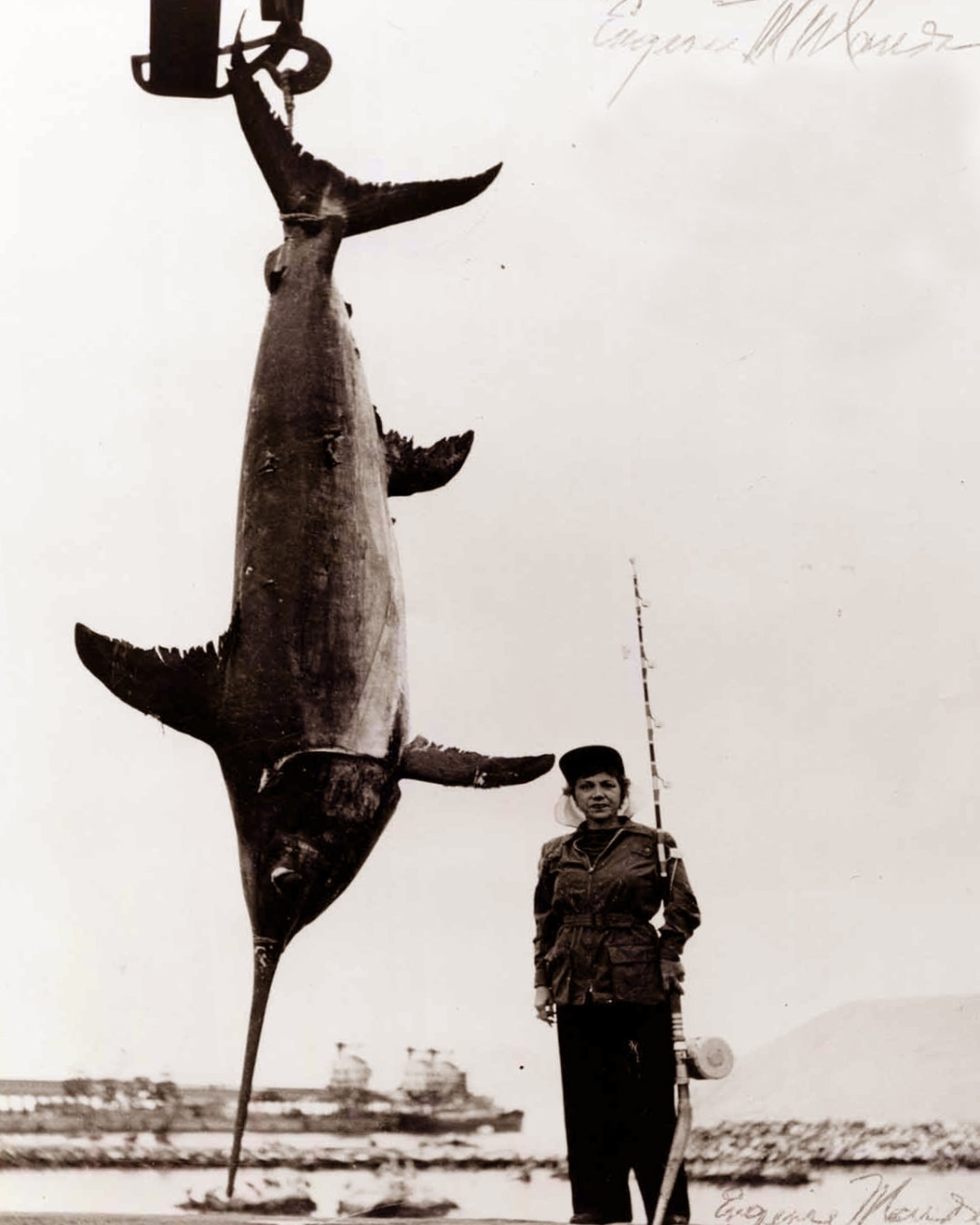 Record Swordfish