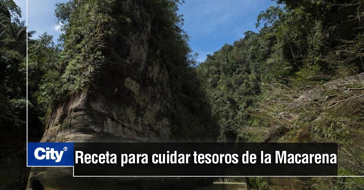 Canal Citytv on Twitter: Canal Citytv on Twitter: