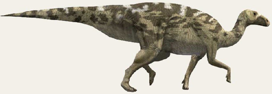 Rhabdodon