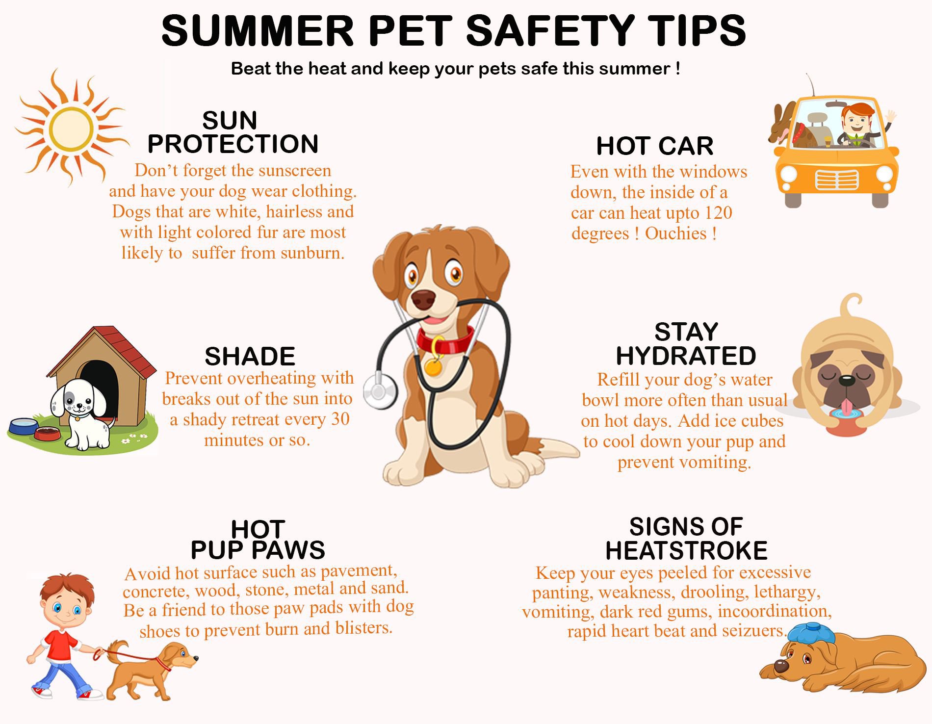 Hot Weather Tips For Pets