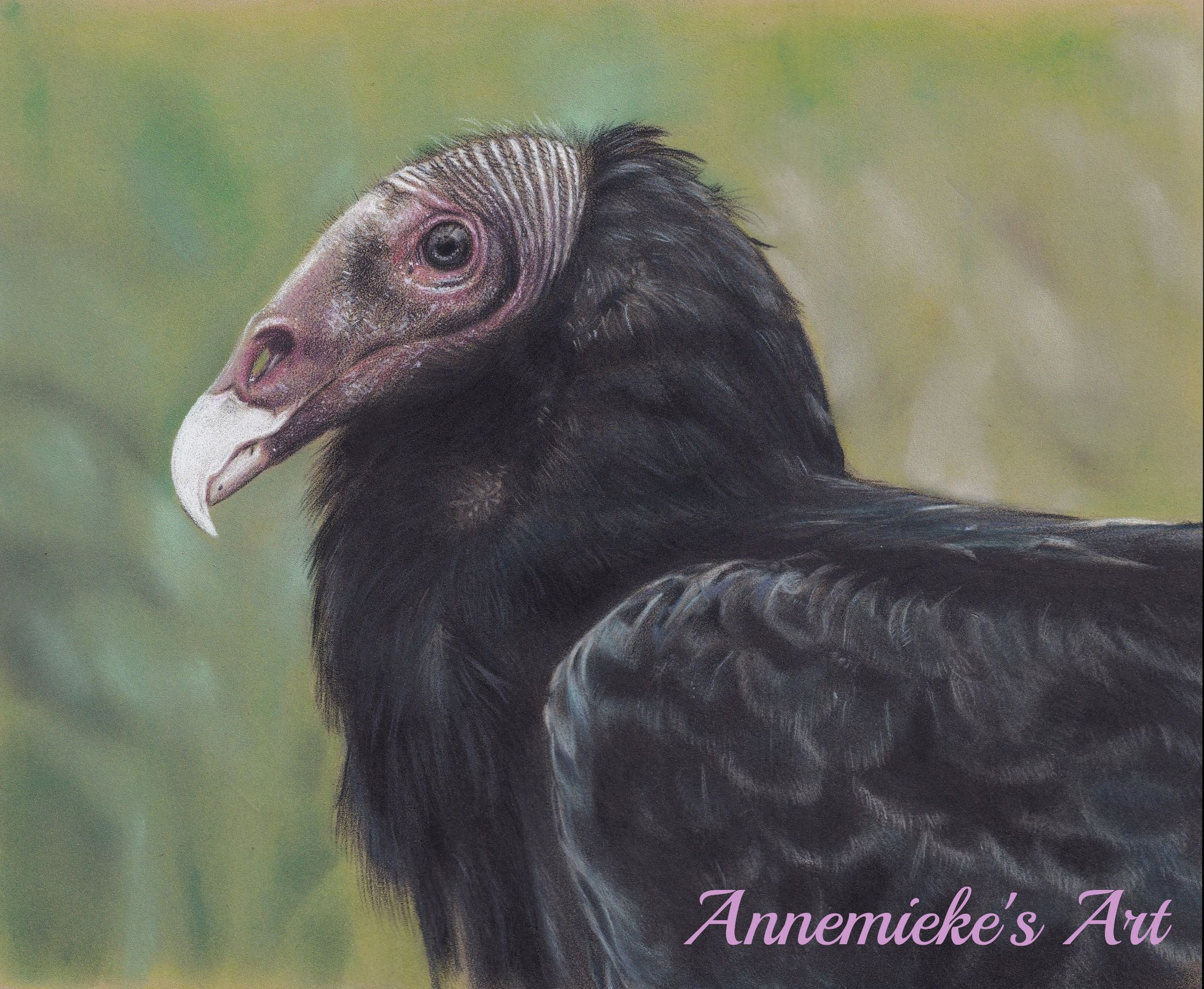 AnnemiekesArt on Twitter: "Just finished this one. Juvenile turkey ...