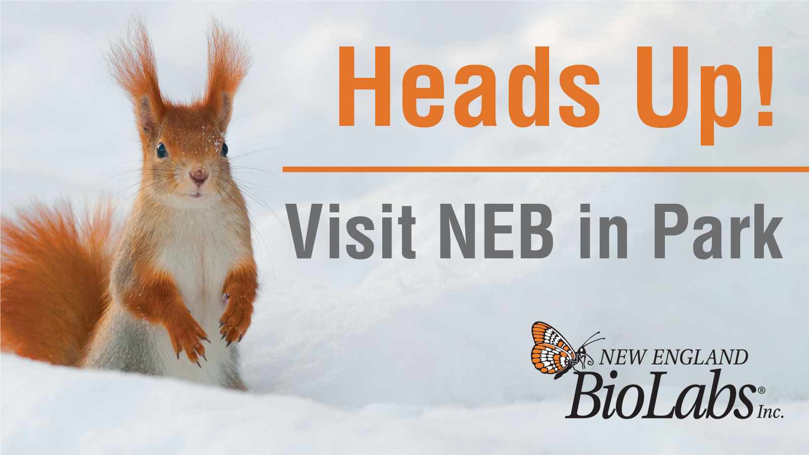 New England Biolabs On Twitter At Agbt22 Visit The Neb Park Suite