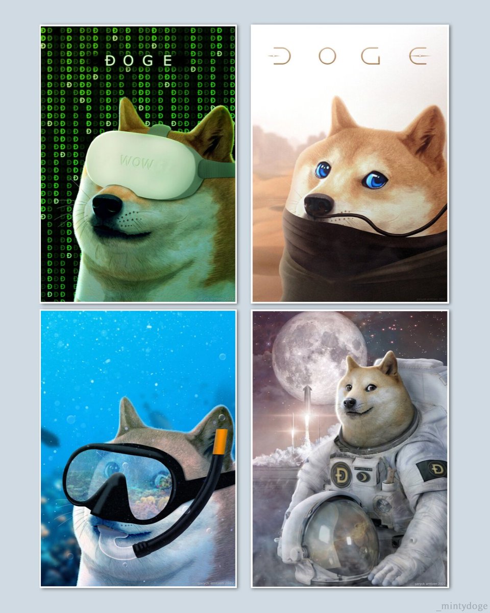 Wow Doge Poster