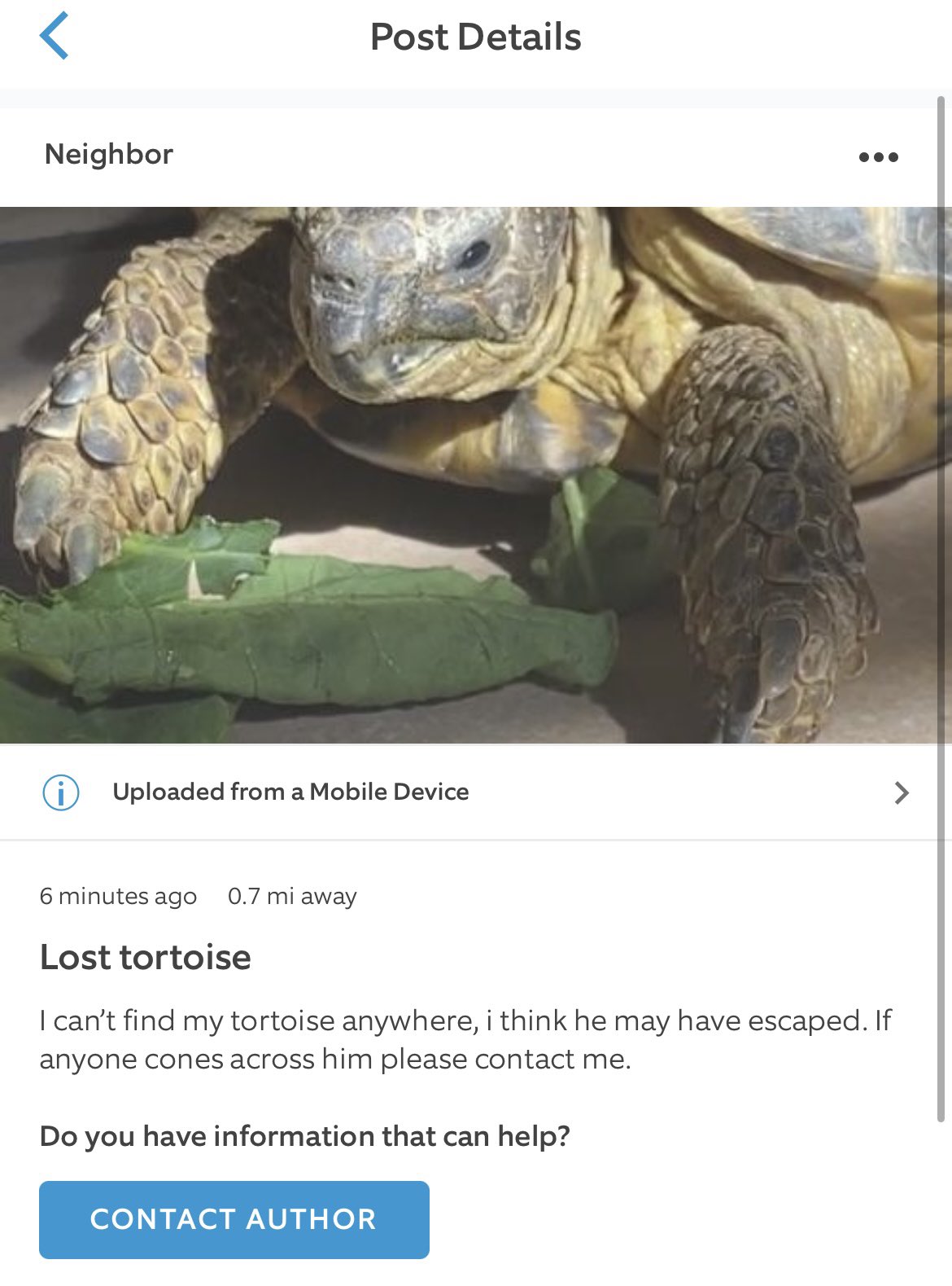 Desert Tortoise Memes