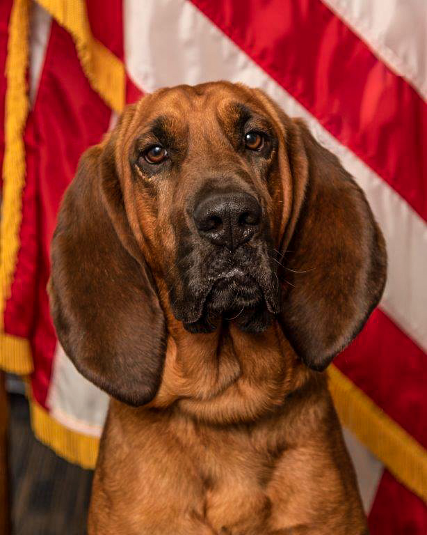 Tallahassee Police On Twitter Picture Day Around Here Even Includes