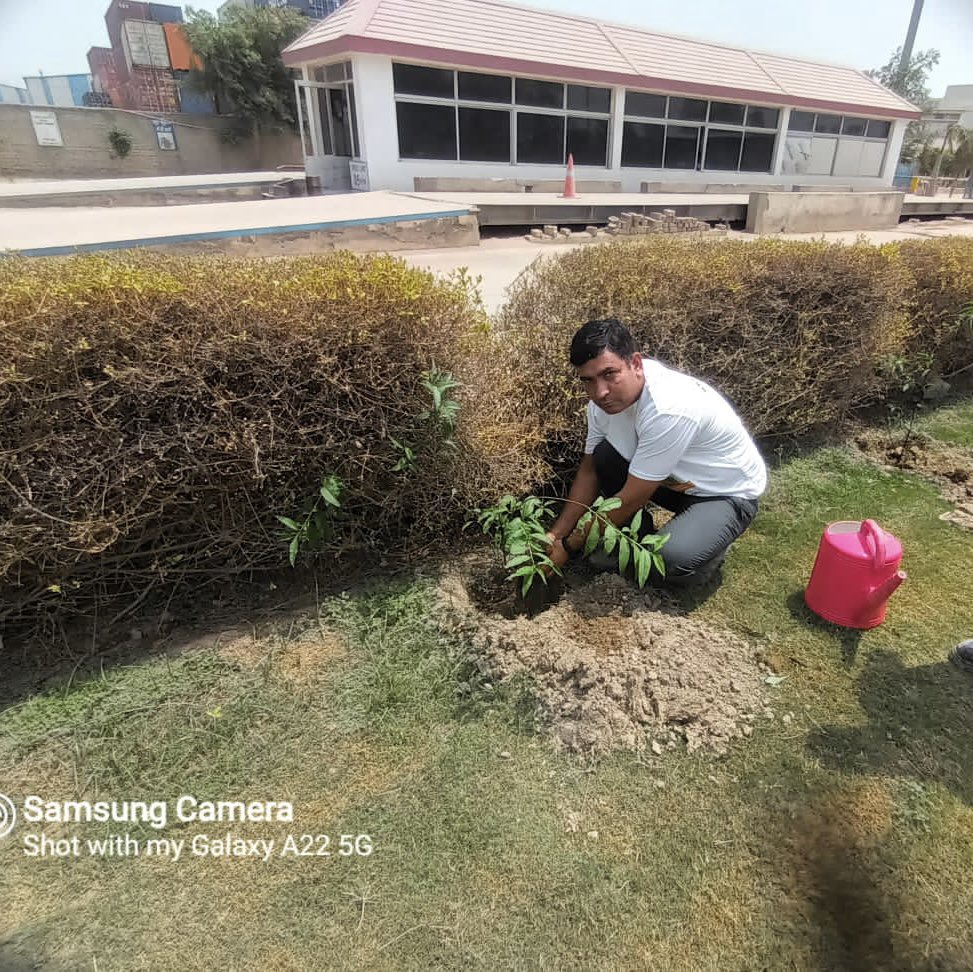 Delhi Customs on Twitter: "ICD Jattipur planted 300 saplings as part of plantation drive of CBIC ...