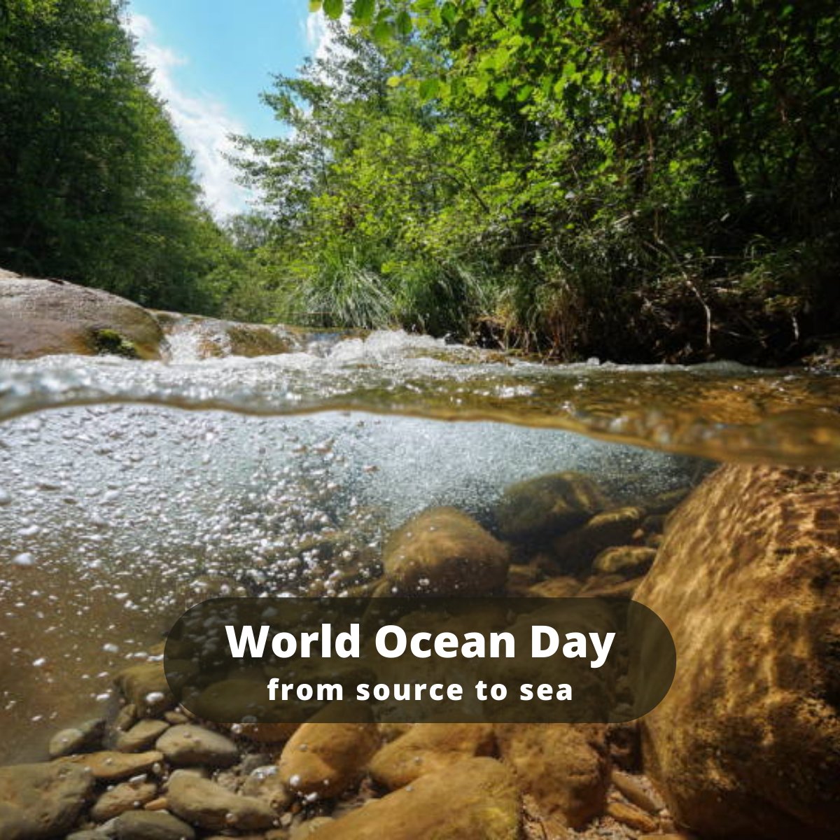 H2O: Source2Sea Project on Twitter: "🌊 Protecting our Ocean is done from the source to the sea ...