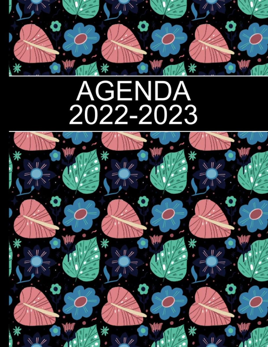 READING BOOKs Agenda 2022 2023: Agenda 2022 2023 Settimanale ...