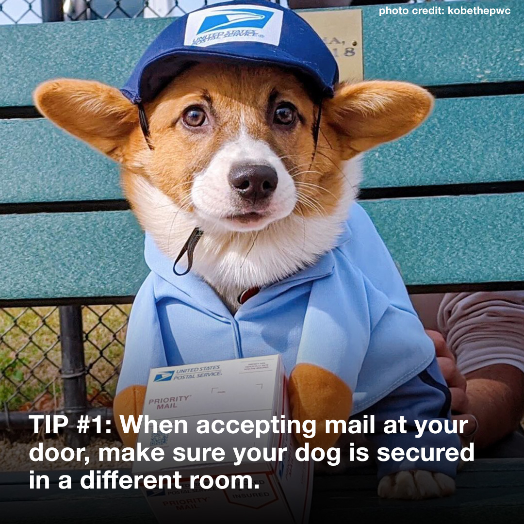 Postal Worker Memes 50 Workplace Memes To Cackle At Whilst You Ignore