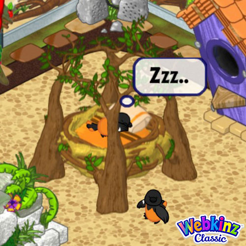 Ganz eStore on Twitter: "Look who's flown into Webkinz World! With brightly-colored plumage and ...