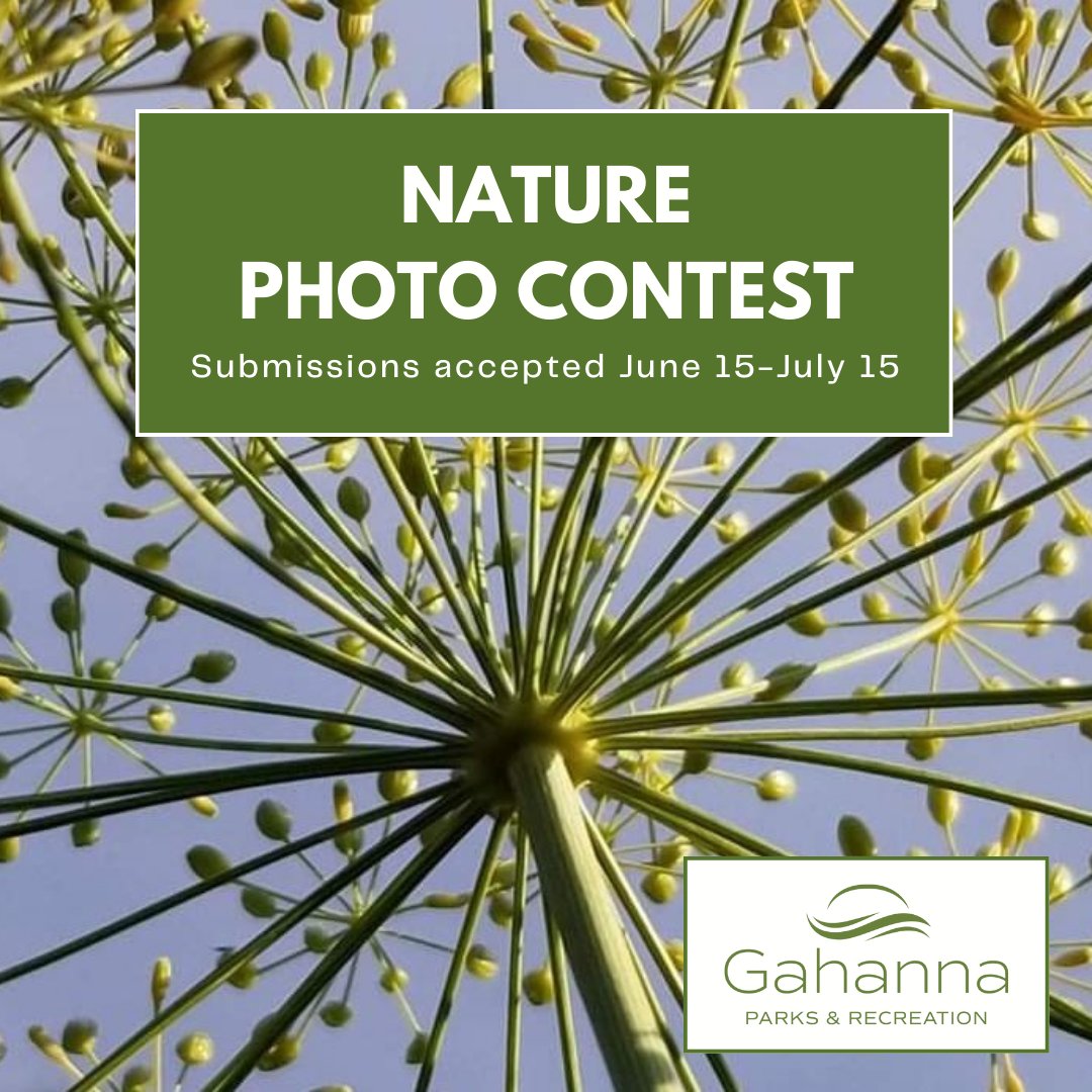 City of Gahanna on Twitter: "Help us celebrate Nature Photo Day on June ...