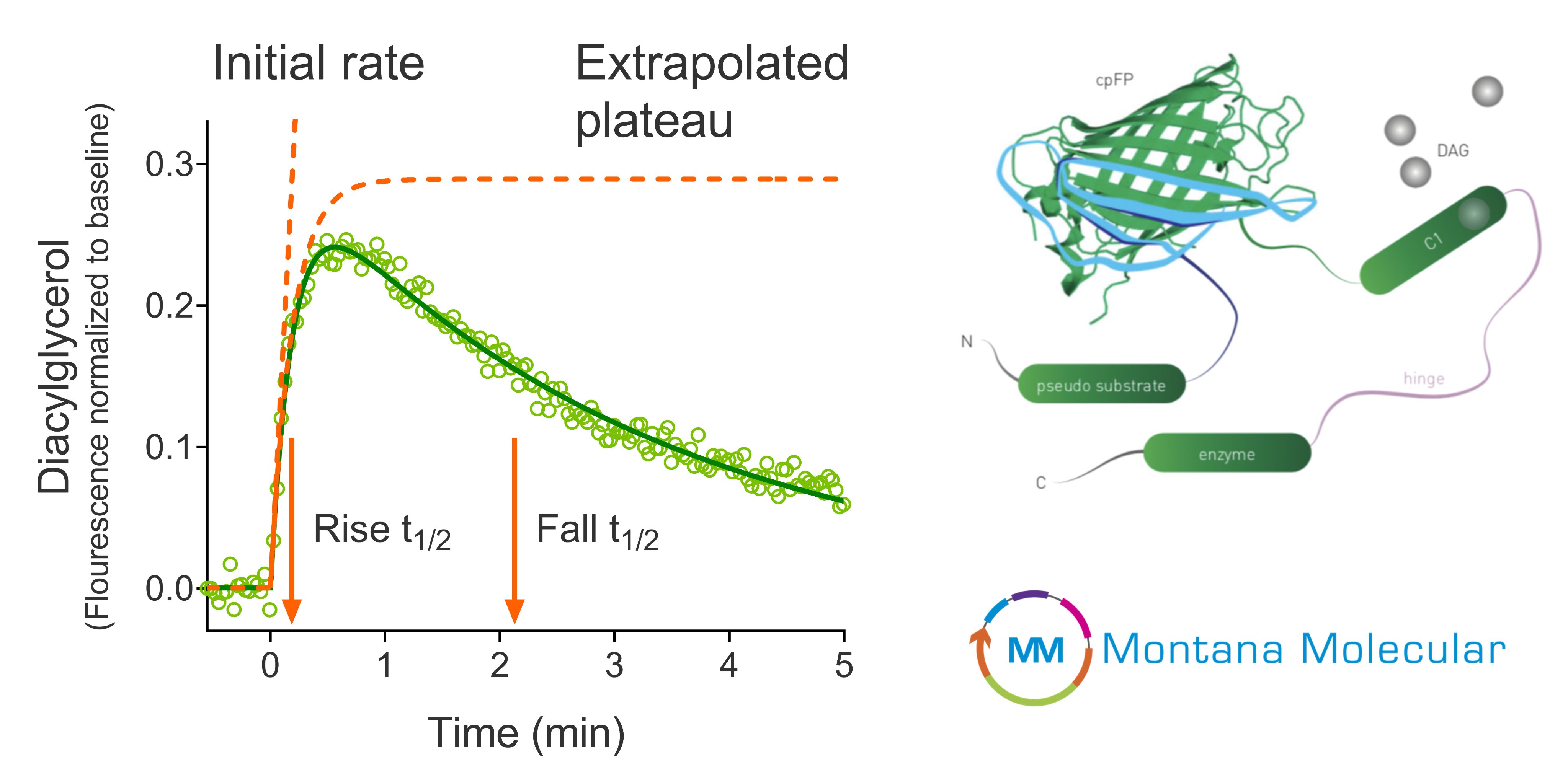 Curve Fit Overview Of Curve Fitting Models And Methods In LabVIEW NI