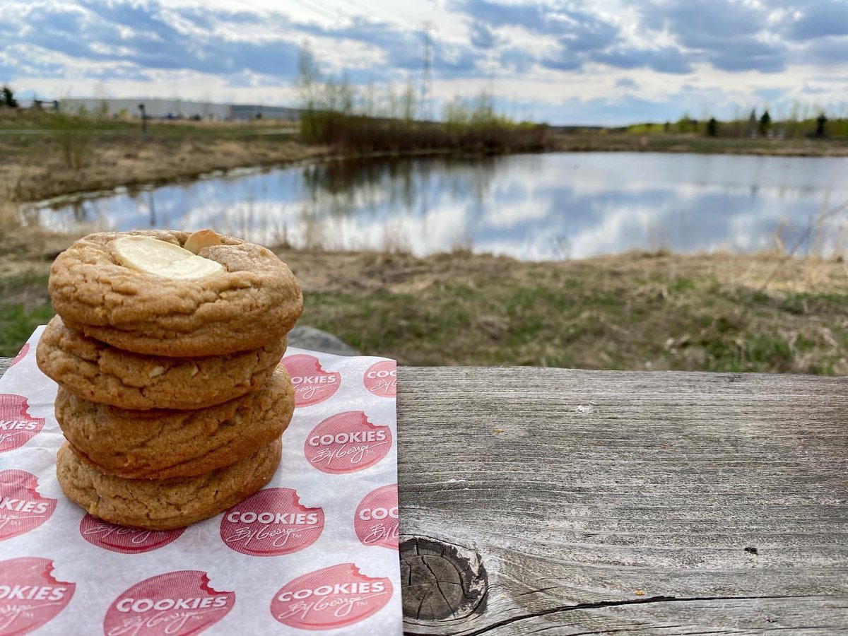 Wrapped Large George Box | Cookies by George