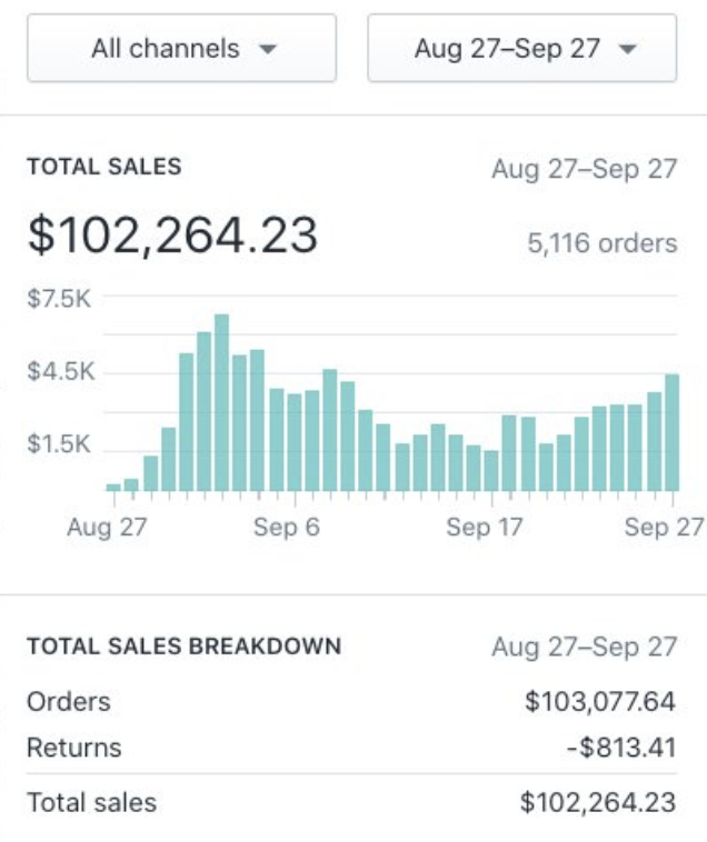 How to profit $100k dropshipping with ONLY Google Search Ads FULL GUIDE ...