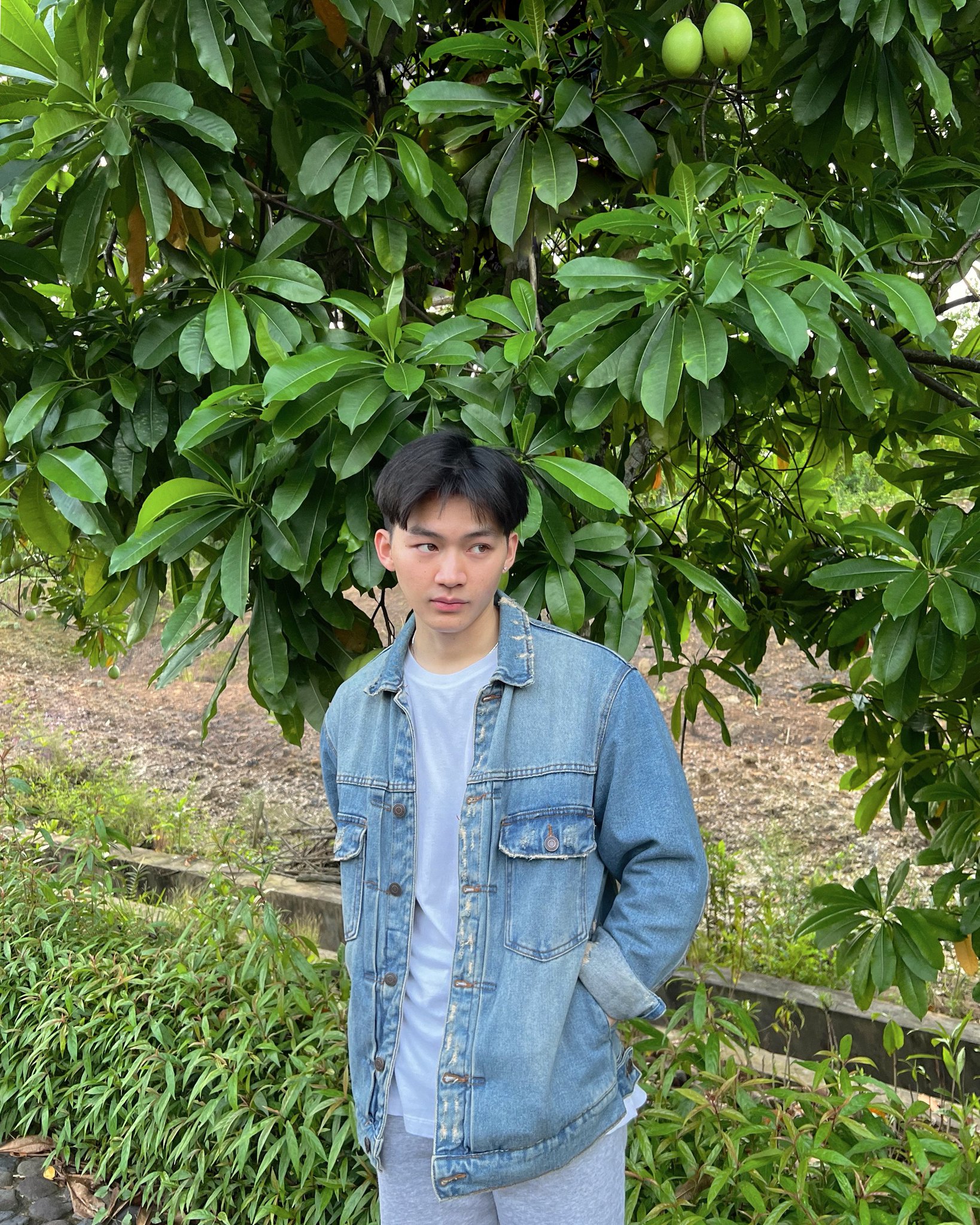 Edward Candra on Twitter: "https://t.co/td04zwpVKU" / Twitter