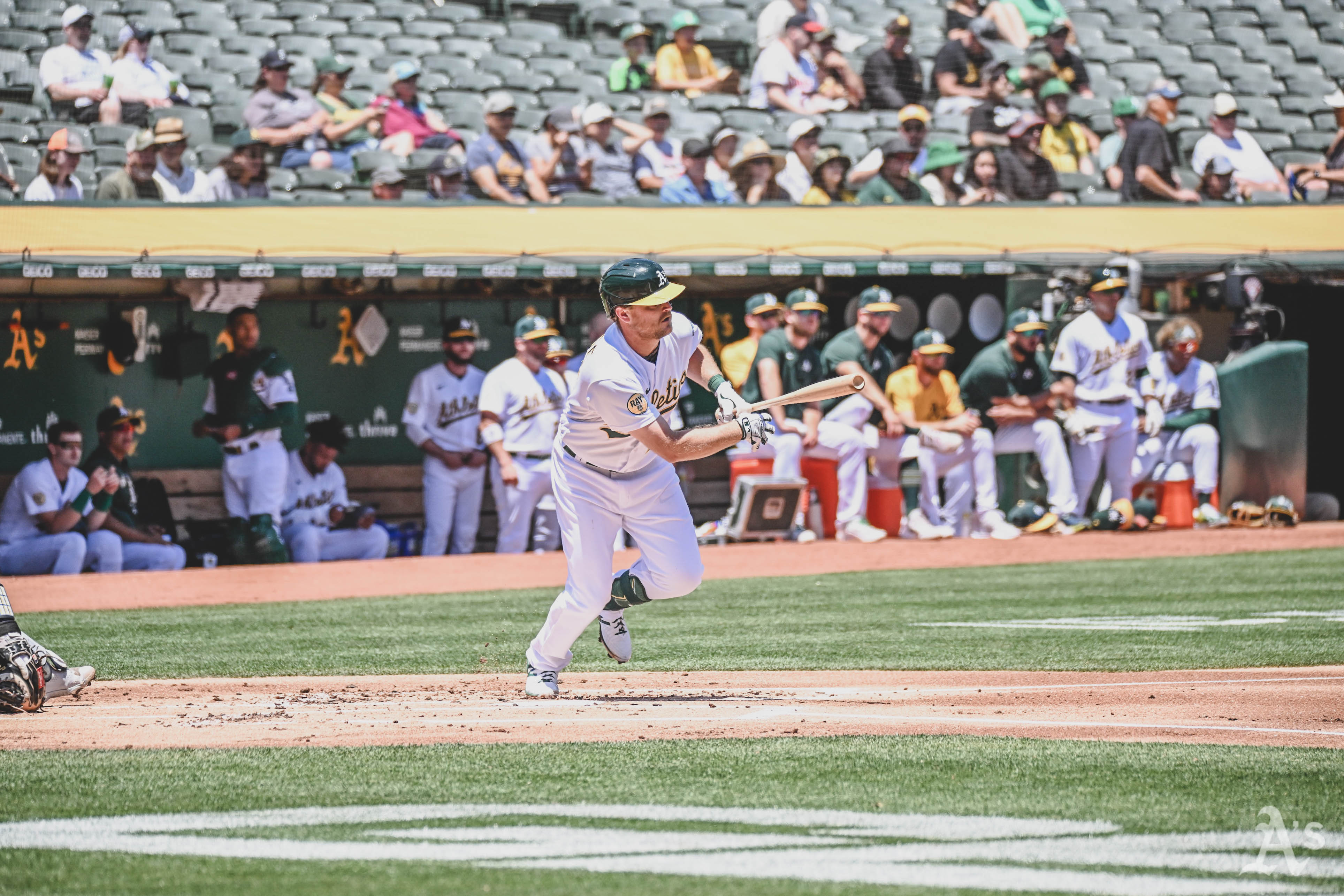 Bobson Dugnutt on Twitter: "@Athletics Mark Kotsay should be ashamed of himself for not letting ...