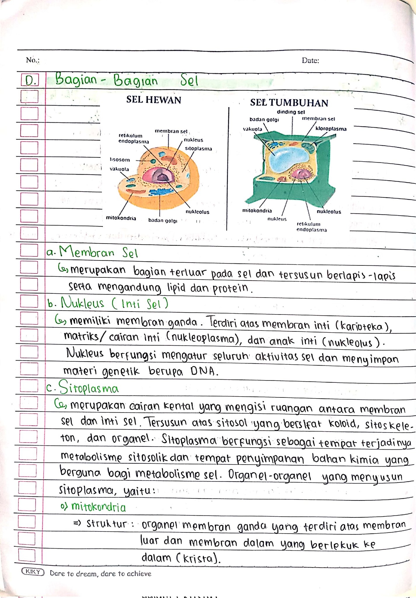 kenni²³ on Twitter: "CATATAN BIOLOGI KELAS 11 ( SEL, JARINGAN HEWAN DAN TUMBUHAN, SISTEM GERAK ...