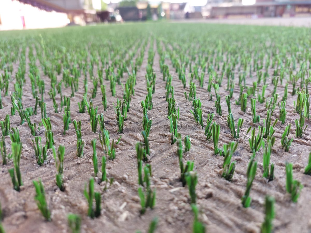 SIS Pitches | One-Stop Shop for Natural, Hybrid and Synthetic Turf Pitches