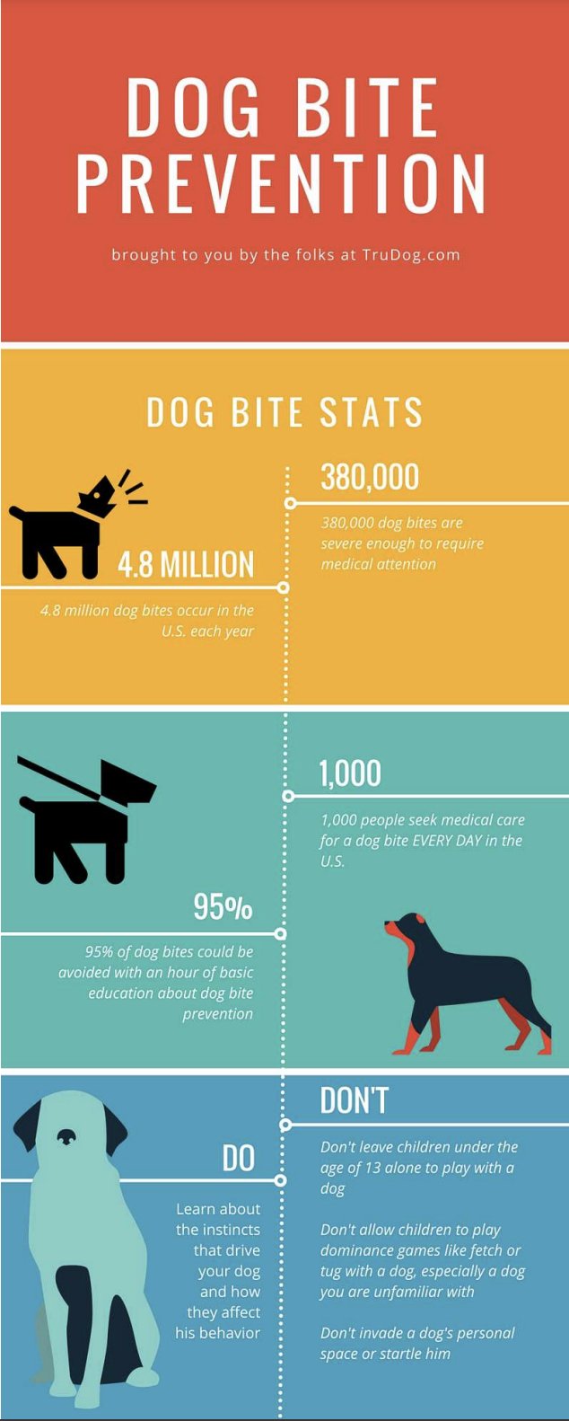 Dog Bite Prevention Poster