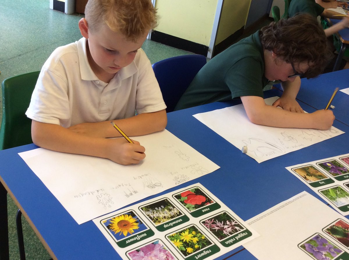 Welcome - Hill West Primary School