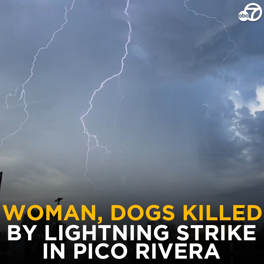 Can Dogs Get Hit By Lightning