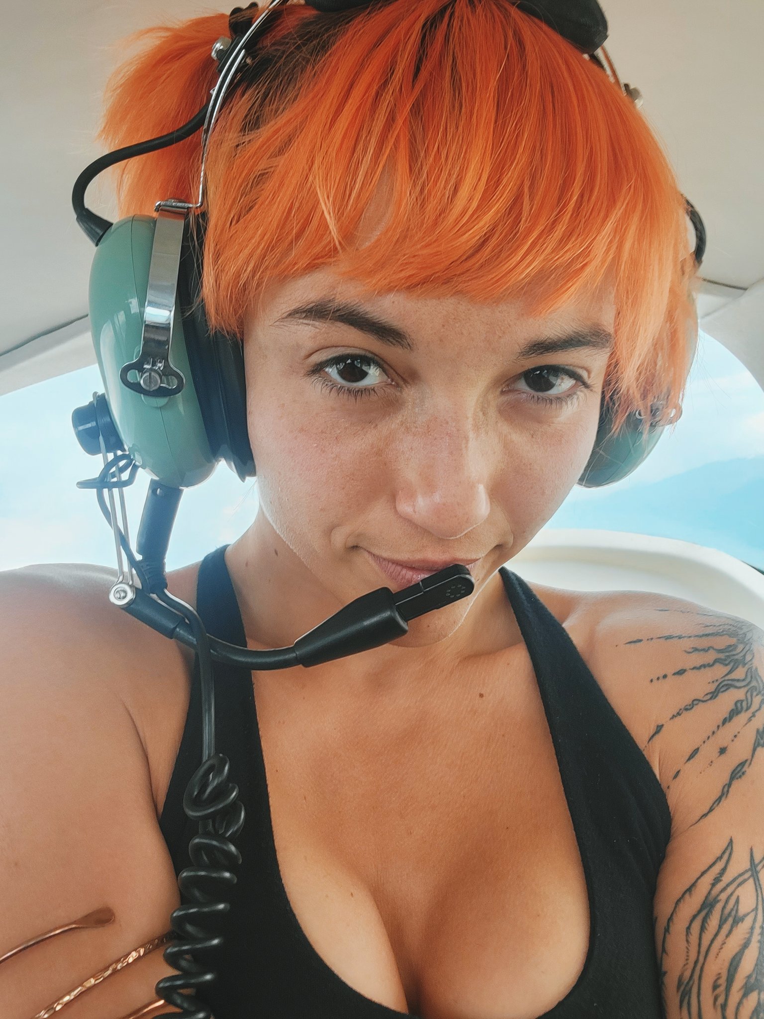 Tricky Nymph on Twitter: "RT @PixiePixelized: adventure kitty in the cockpit 😼 ️☁️ https://t.co ...