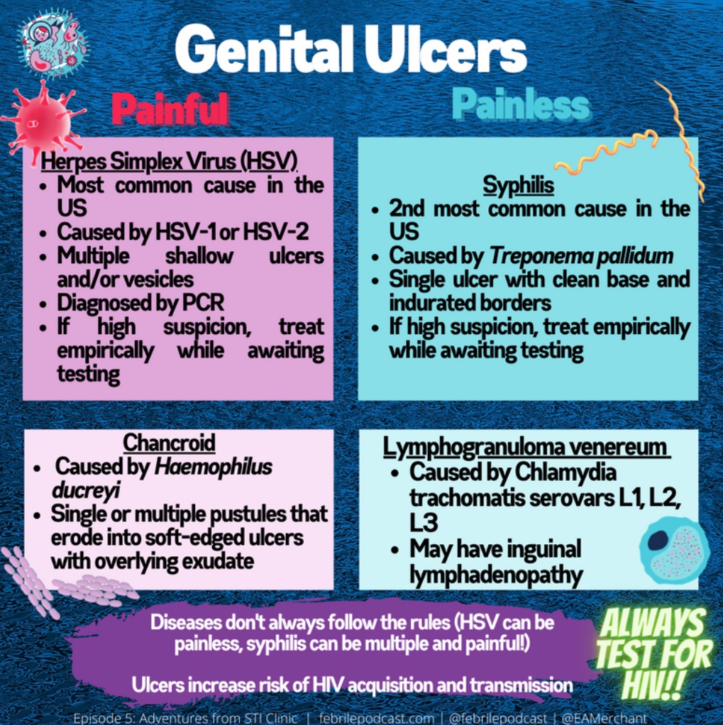 What Are Genital Ulcers