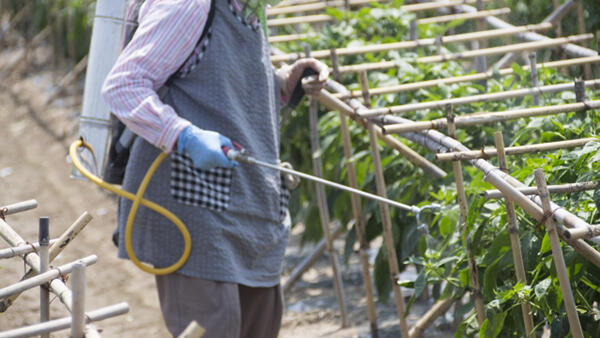 JAcom農業協同組合新聞 on Twitter: "現場で役立つ農薬の基礎知識2022 今後の土壌消毒のあり方｜JAcom 農業協同組合新聞 https://t.co/3TtDdGfsuA ...