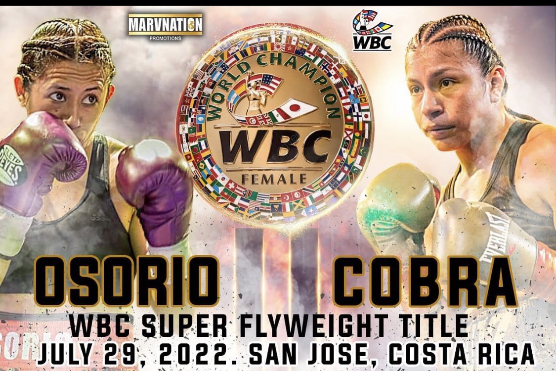 BoxingMeetsBeauty on Twitter: BoxingMeetsBeauty on Twitter: