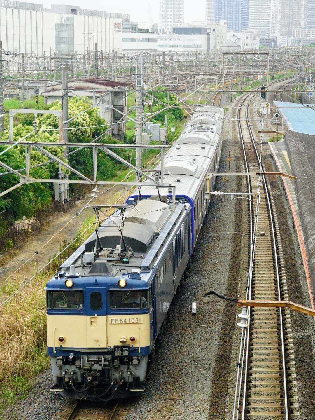 吉田 匡 on Twitter: "シマトネリコの白い花に見送られて、大船を目指すE235系1000番台配給列車。 #E235系1000番台配給列車 #EF64_1031号機 https ...