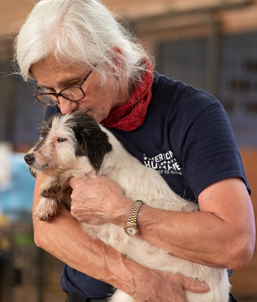 Five Freedoms: the gold standard of animal welfare - American Humane ...