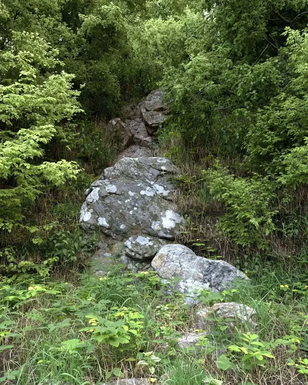 Graswald On Twitter Another Super Realistic Scene By Rudi Hendrich Madewithgraswald