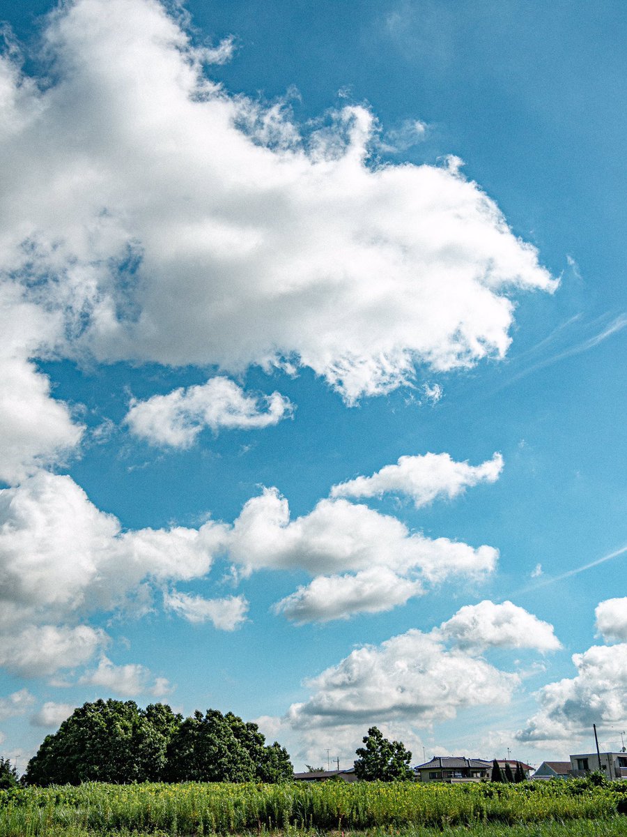 Ken Tanahashiさんの人気ツイート（新しい順） - ついふぁん！