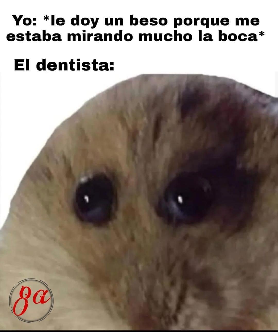 Flaquitos Memes Virtuals Protocol Tokens On Base Skyrocket As AI Agent