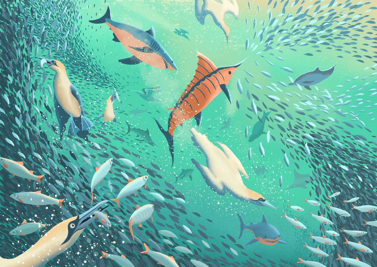 「I do have a round collection of prints o」|Jacek Matysiak 🦛 open for ...