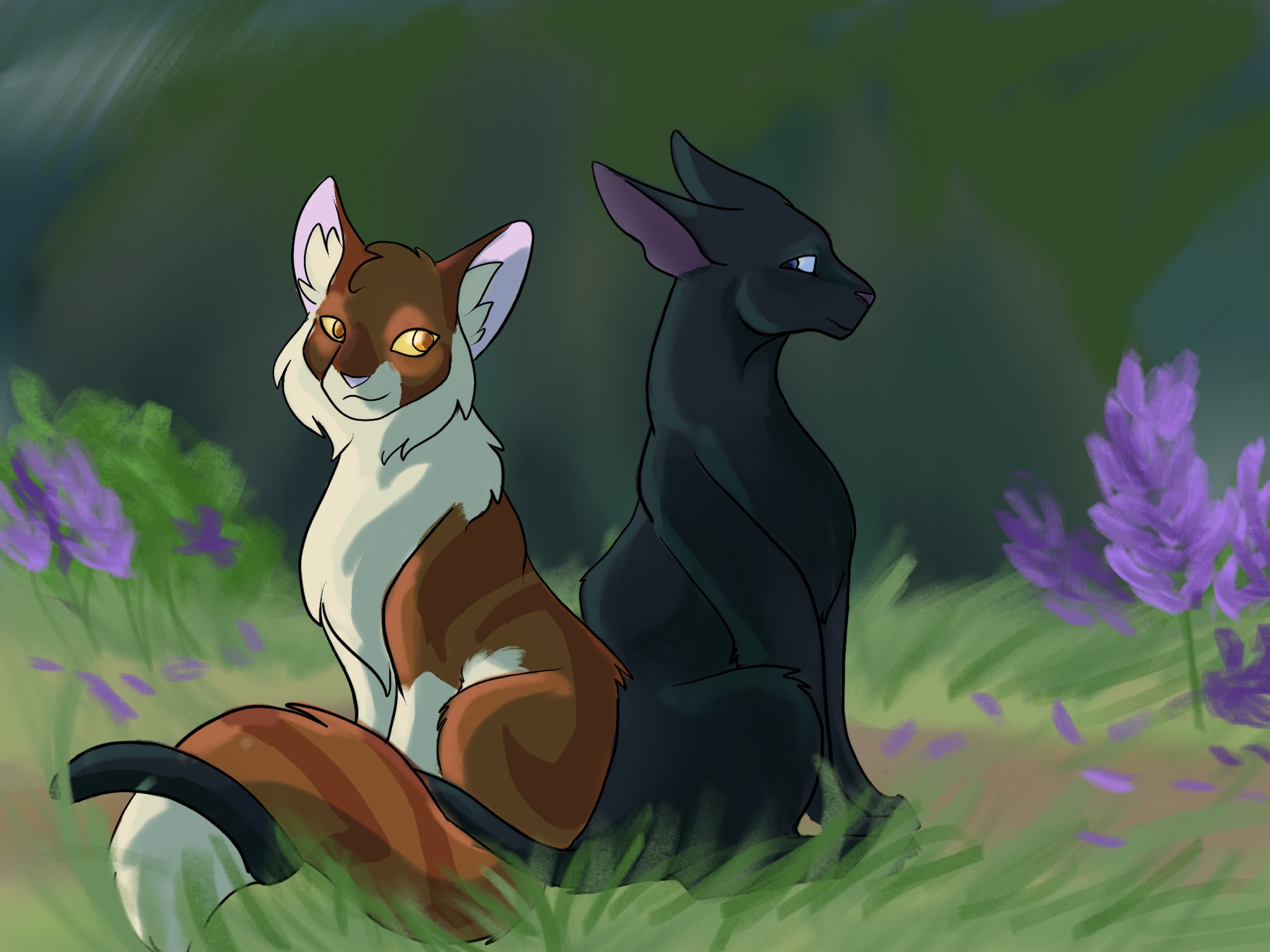 Leafpool And Crowfeather Kits