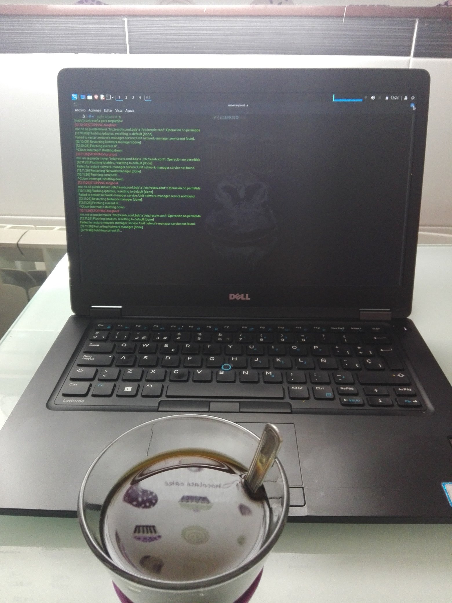 Mr. Pumba (@Mr_Pumba_Crypto) / Twitter