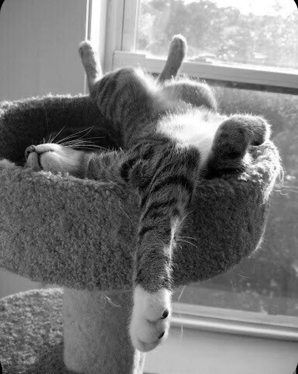 Paul On Twitter getting Up Is Overrated paul-on-twitter-getting-up-is-overrated
