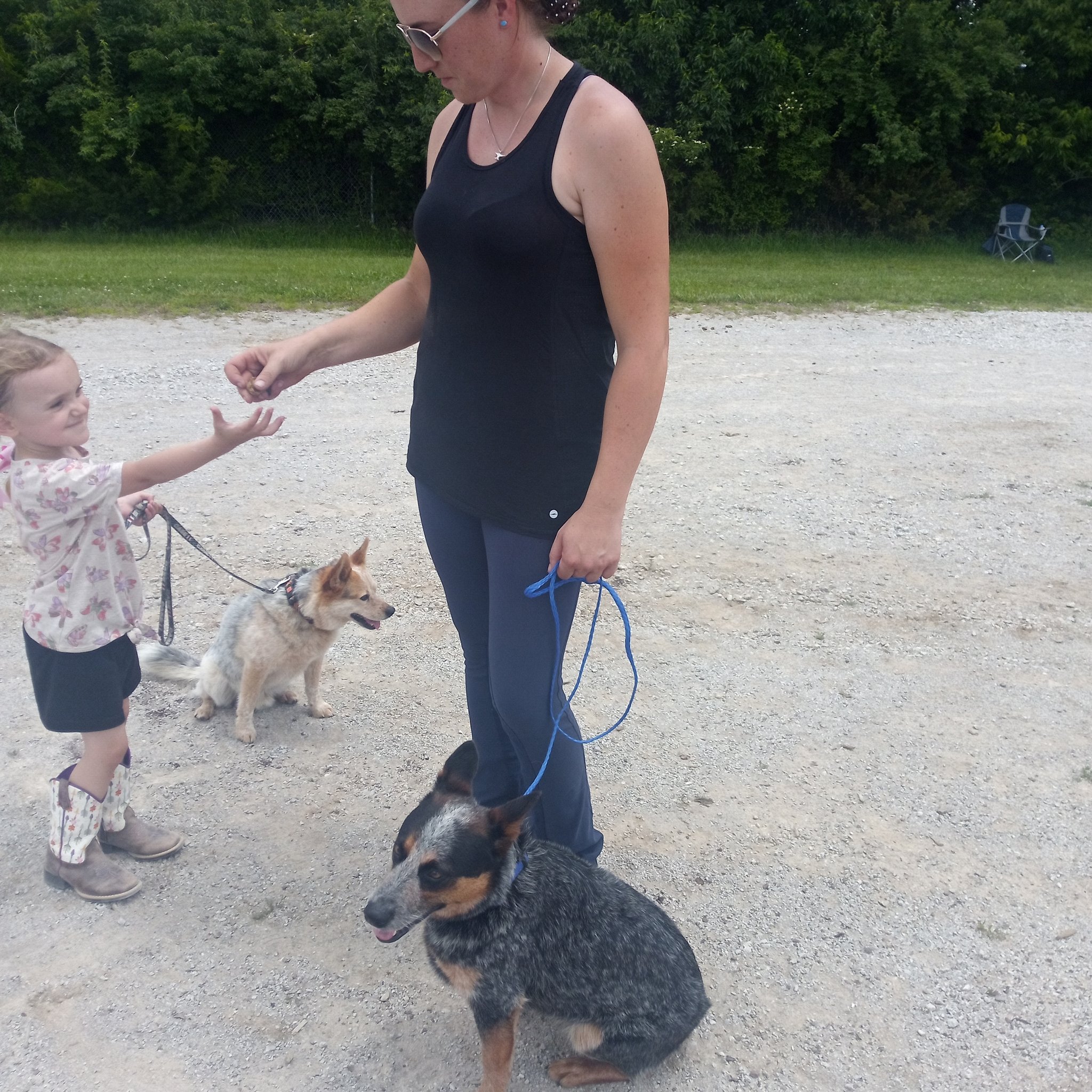 Jeff McFadden on Twitter: "2. Even saying, "I'm done," was not being done. It was just whining ...